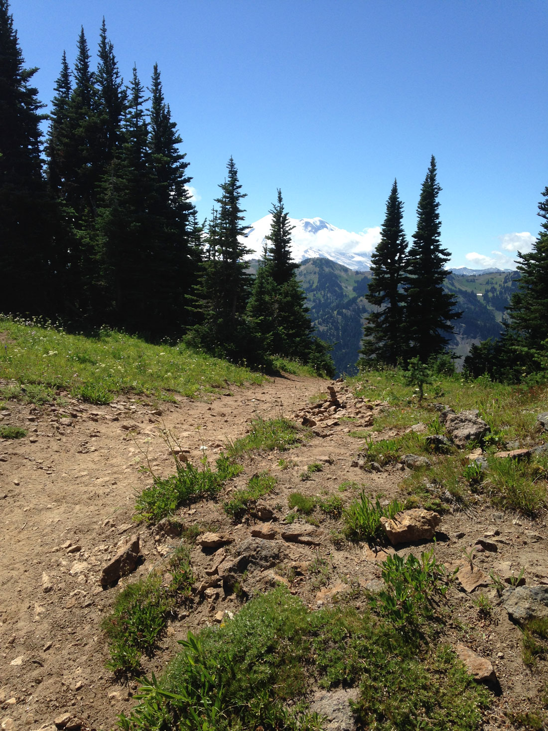 Washington: Crown Point - Wild - Pacific Crest Trail Association