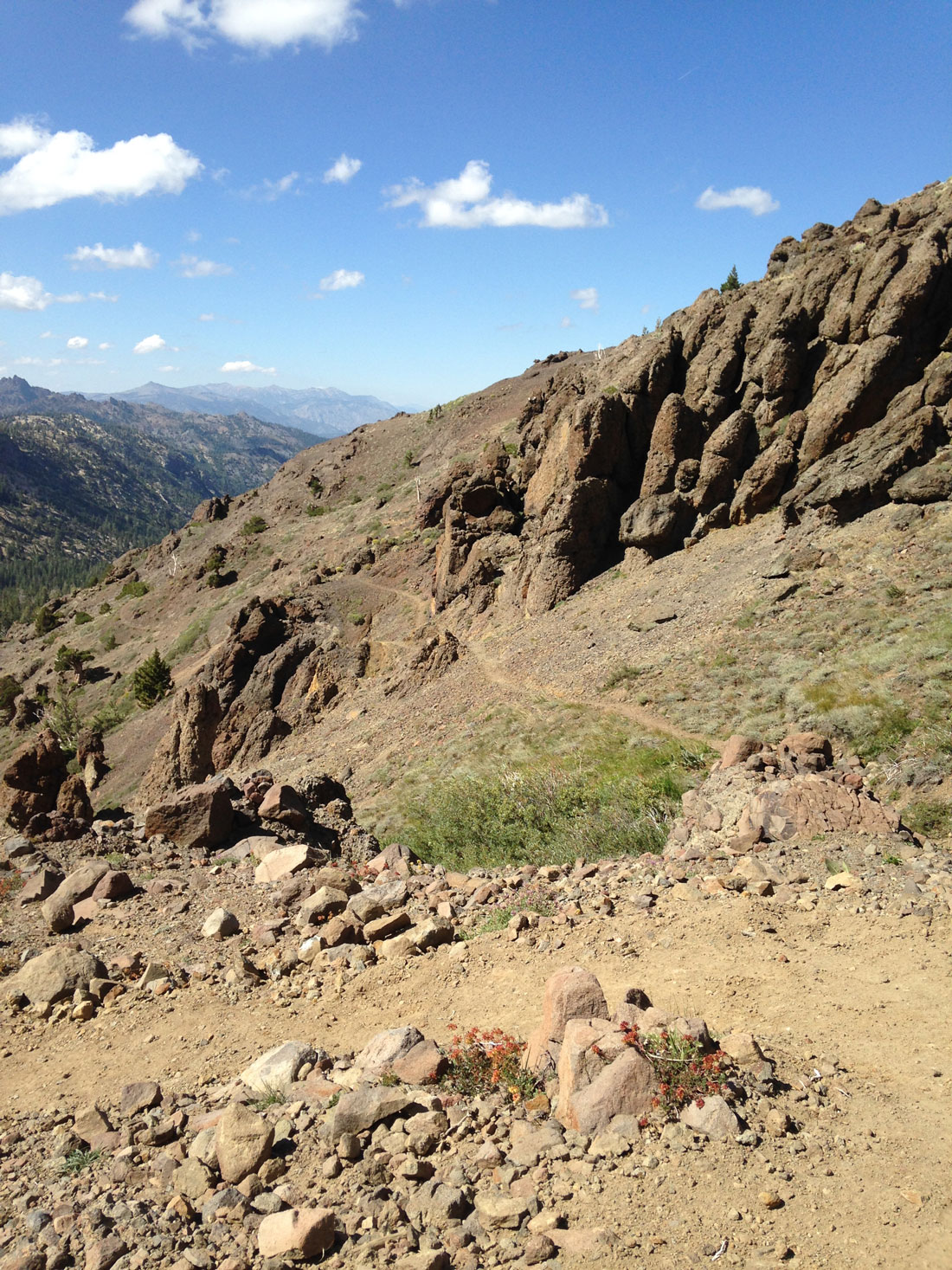 photo - Wild - Pacific Crest Trail Association