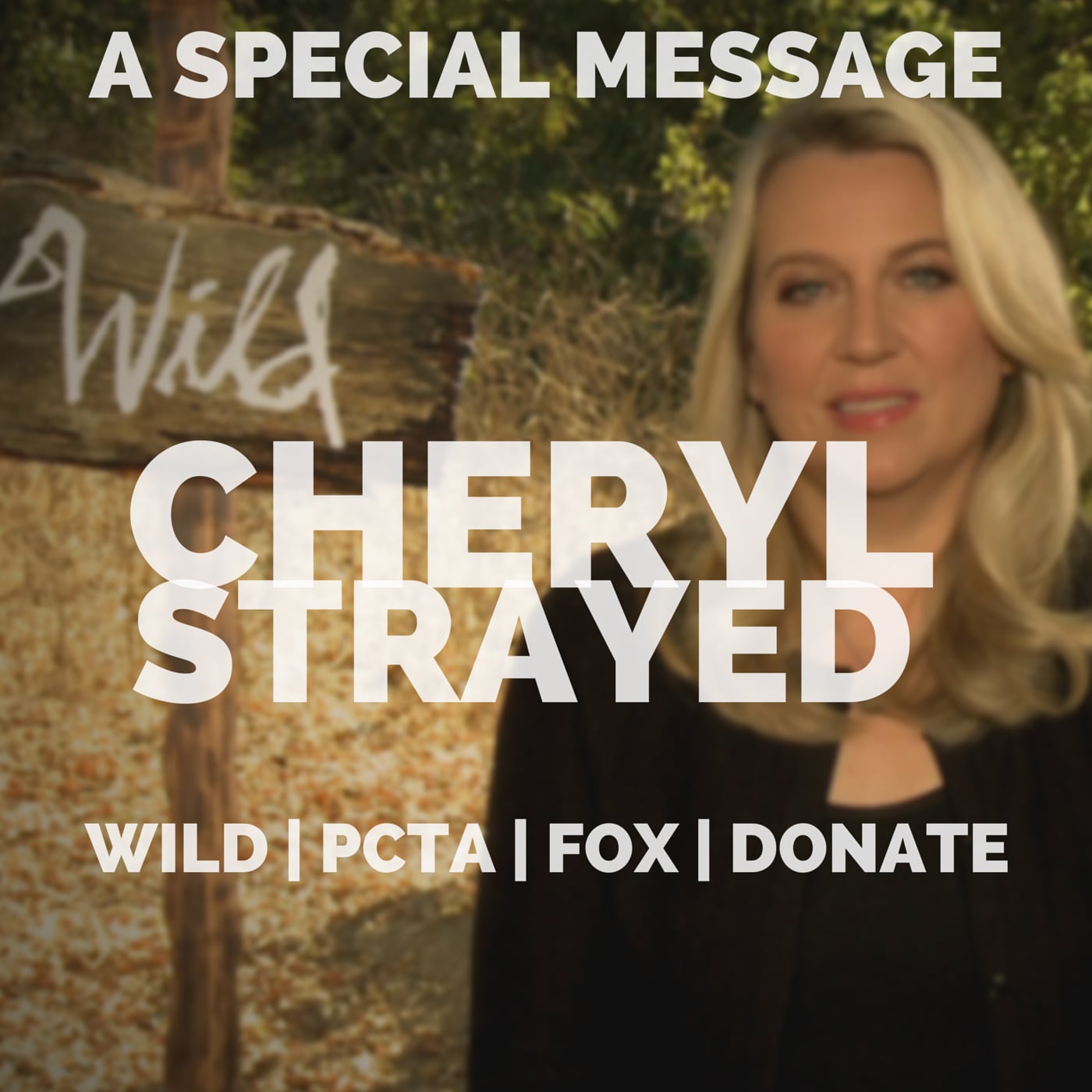 WILD: Cheryl Strayed interviewed by PCTA - Wild - Pacific Crest Trail ...