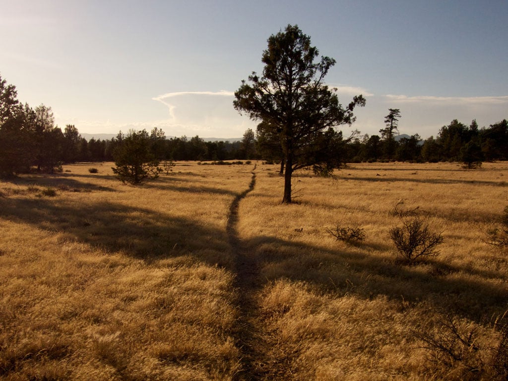 Hat Creek Rim, California - Wild - Pacific Crest Trail Association